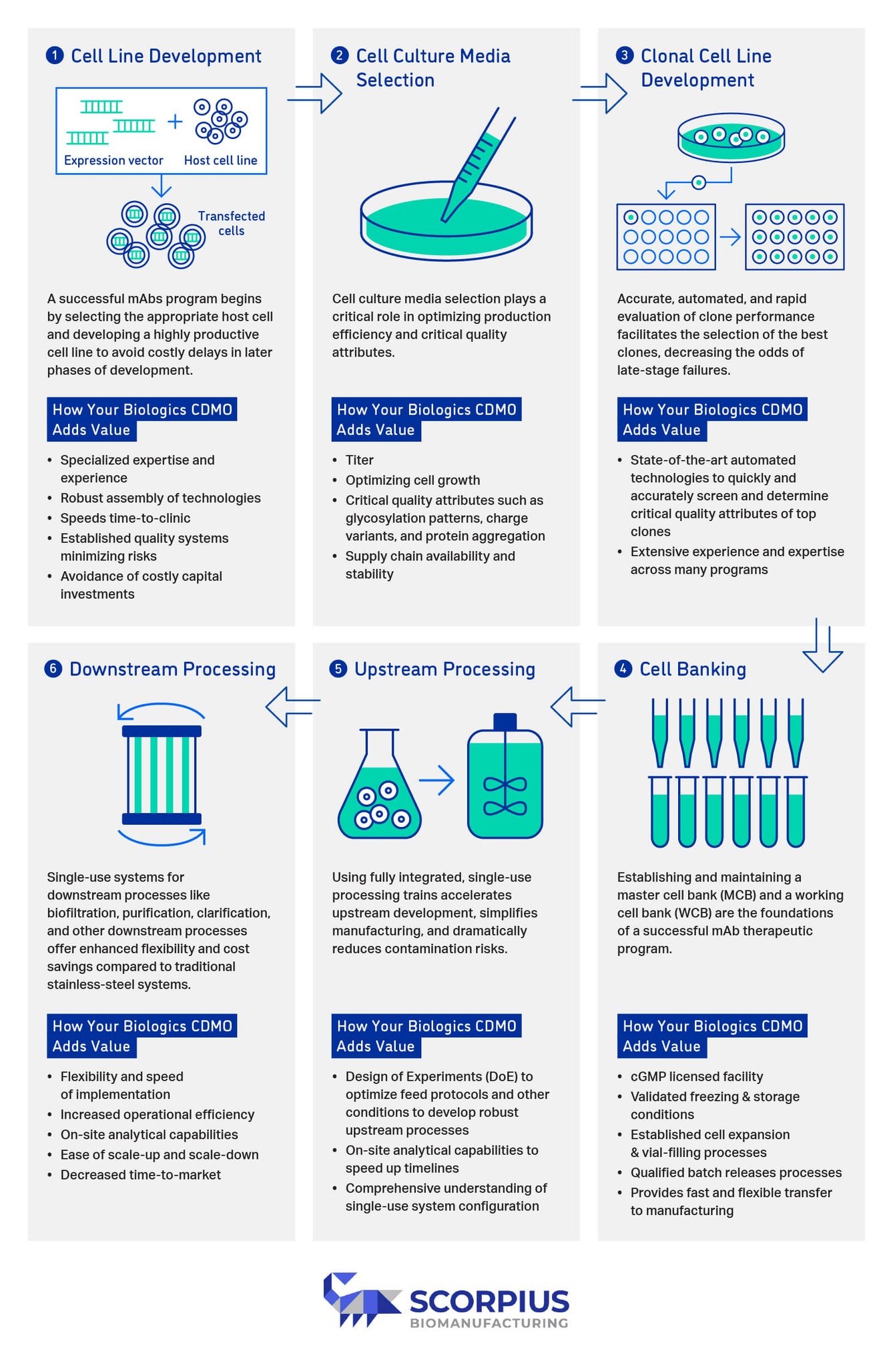 How a Biologics CDMO Adds Value to mAbs Development & Manufacturing ...